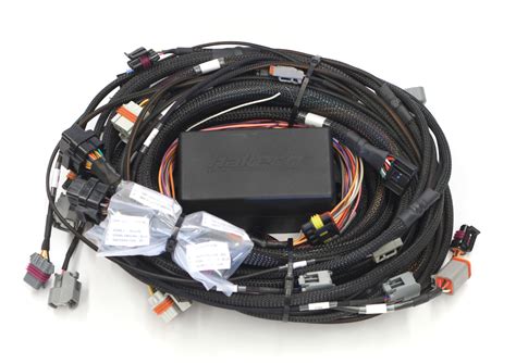 Elite 2500 Gm Gen Iii Ls1 And Ls6 Dbw Retrofit Ready Terminated Harness