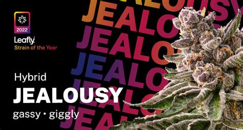 Leafly Announces 2022 Cannabis Strain Of The Year Leafly Newsroom