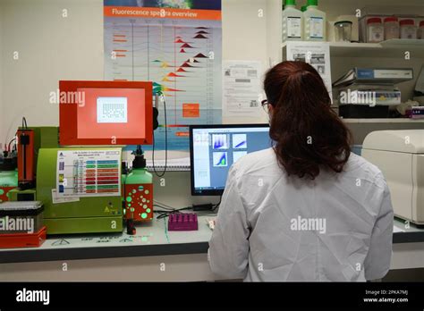 Research On Chronic Bacterial Infections Within Inserm Phd Student