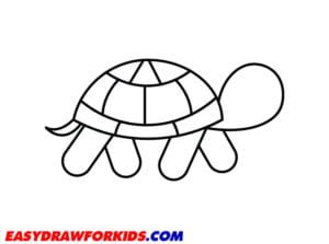How To Draw A Turtle 6 Ways With Pictures