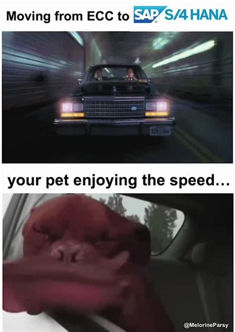 Boost Your Business With Sap S 4hana Isap Courses Posted On The Topic Linkedin