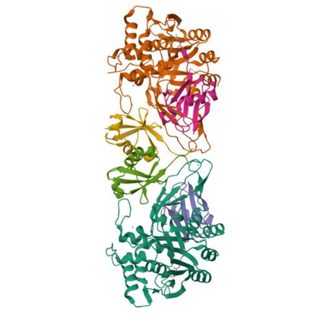 Rcsb Pdb 8c61 Structure Of Usp54 In Complex With Lys63 Linked