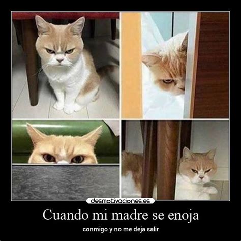 Cuando Mi Madre Se Enoja Desmotivaciones