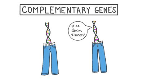 Lesson Video Complementary Genes Nagwa