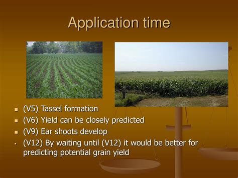 Ppt Variable Rate Nitrogen Application In Corn Production Powerpoint