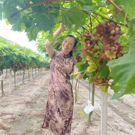 教师主页 贝壳网