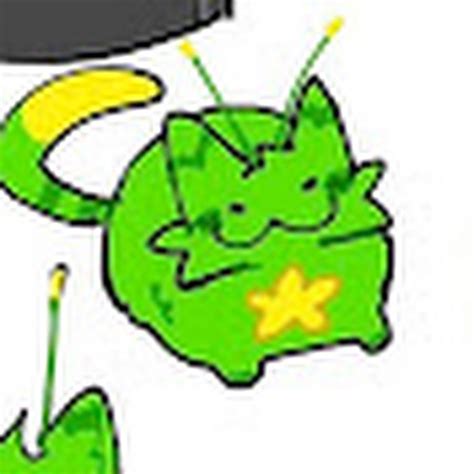 Gnarpy The Cat Youtube