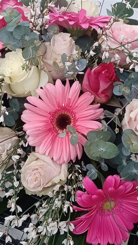 Elsa Cusini Luzzani Argeo