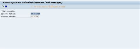 S ALR SAP Tcode IMG Activity SIMG EURO RFEWA Transaction Code