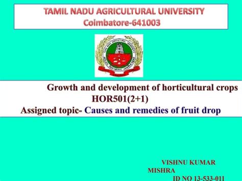 Diseases Of Jackfruit Pdf