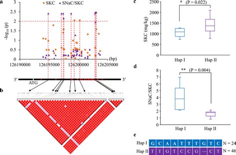 Candidate Gene Association Analysis Of Grmzm2g075104 A Significant