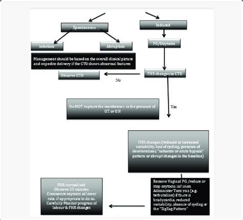 Tachysystole And Uterine Hyperstimulation Download Scientific Diagram