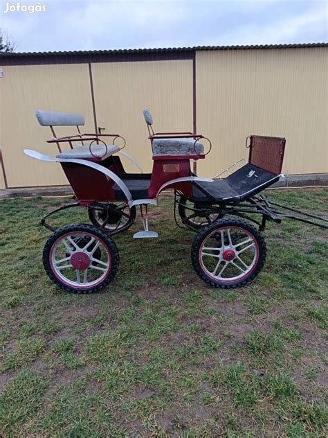 Eladó Ló Csikó Póni Jártatók Levelek Ló Jófogás