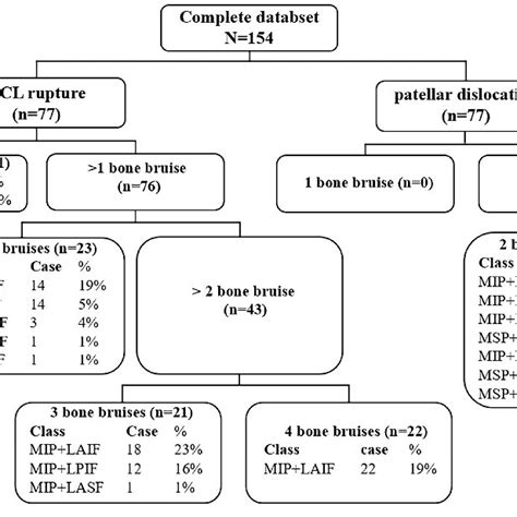 Classification Tree Of One Bruise Patterns Of Acl Rupture And Patellar