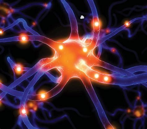 Neurogranin Peptides Eurogentec
