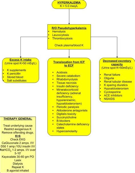 Hyperkalemia Ati Template