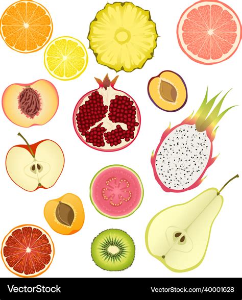 Fruit Cut In Half Art