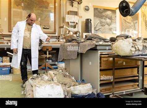 Technician Stephane Berton Pictured During A Visit To The Natural