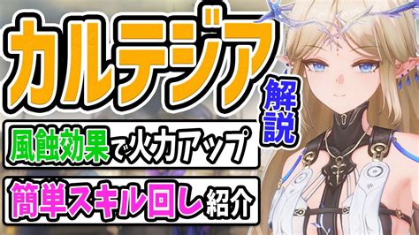 圧倒的ヒロイン！風蝕効果アタッカー「カルテジア」解説！ フルールドリスの火力が高いけど意外と風蝕効果の持続ダメージも強い カルテジアも普段使い