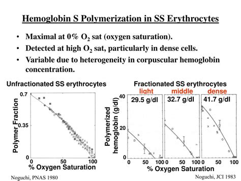 Ppt Pathophysiology Of Sickle Cell Anemia Hemoglobin S