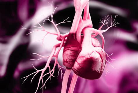 Vascul Aid Une étude Européenne Sur Lia Pour Prédire Laggravation De La Maladie Vasculaire