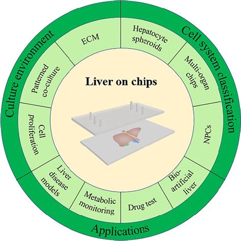 A I Physical Illustration Of The Microfluidic System‐based 3d Download Scientific Diagram
