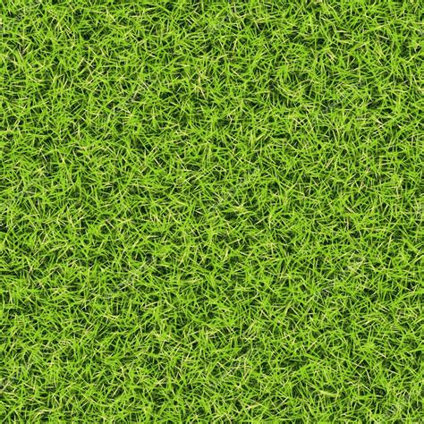 Grass Top View