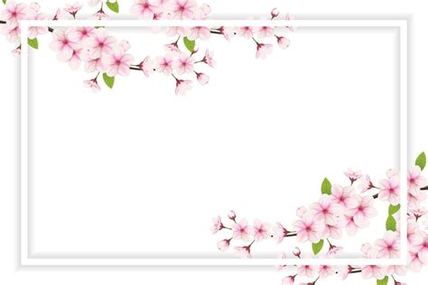 Cherry Blossom Frame With Space For Text Vector Illustration Cherry