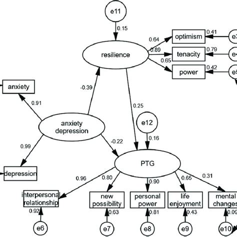 The Initial Model That Resilience Mediated Partially Between Anxiety