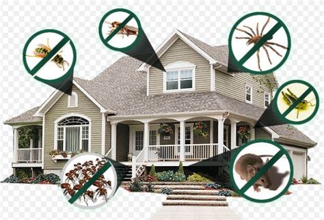 Best Pest Control Access Pest Control