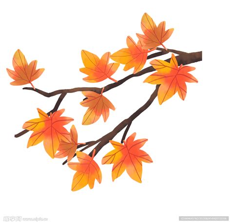 枫叶树叶图片卡通图片树叶卡通图片第2页大山谷图库