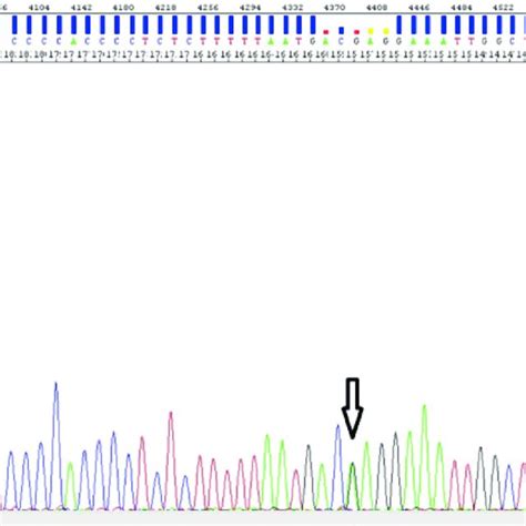 Polyamine Cycle Role Of Copper Enzymes Download Scientific Diagram