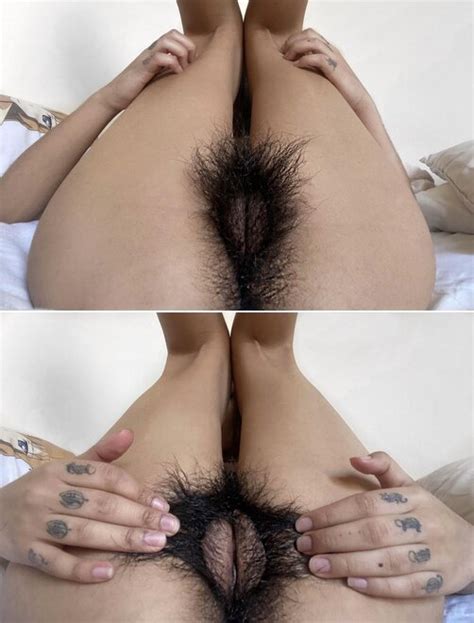 Behaarte Muschis 2 Hairypussy01hairypeqi0vj5mcv61 Foto Porno