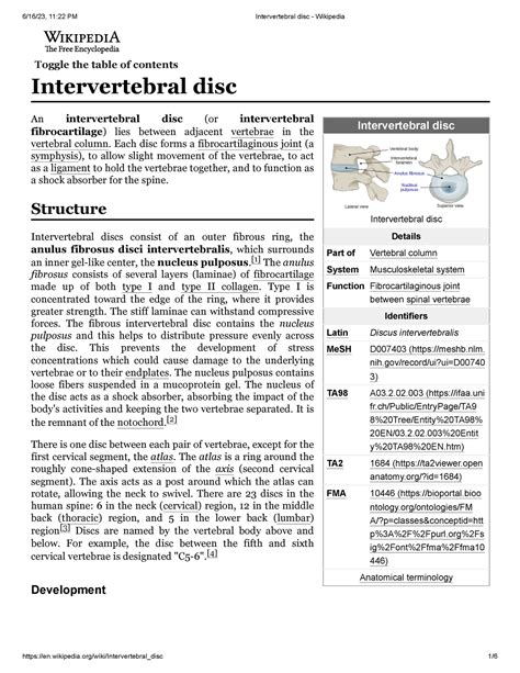 Intervertebral Disc Intervertebral Disc Intervertebral Disc Details