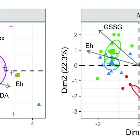 Pca Biplots On Antioxidants And Oxidative Markers Measured In Liver And