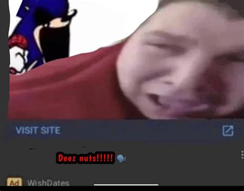 Deez Nuts R Sonicexe