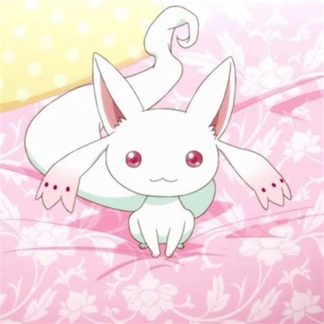 Madoka Magica Kyubei Pfp