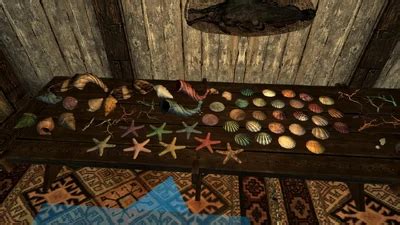 Seashell Guide Legacy Of The Dragonborn Fandom