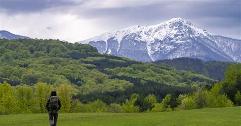 Unesco Announces 13 Awards For Young Researchers Working In Biosphere