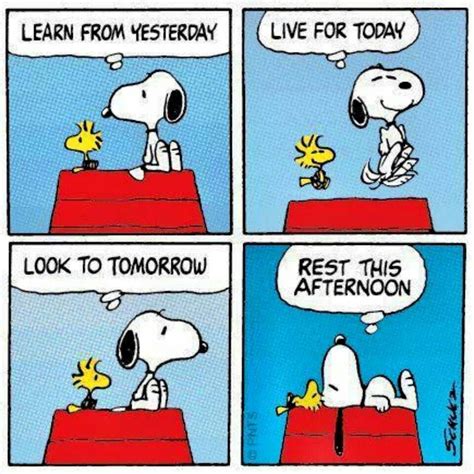 10 Inspirational Quotes Of The Day 317 Lifehack Snoopy Pictures