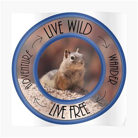 Live Wild Cute Squirrel Poster For Sale By Wylesartshop Redbubble
