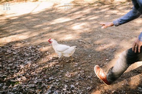 Black People Running For Chicken