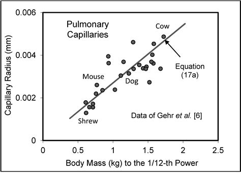 Allometric Relations And Scaling Laws For The Cardiovascular System Of