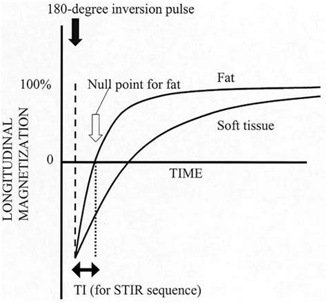 C1 1 Ff12 Abdominal Key