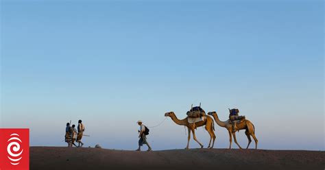 Retracing The First Human Migration Rnz