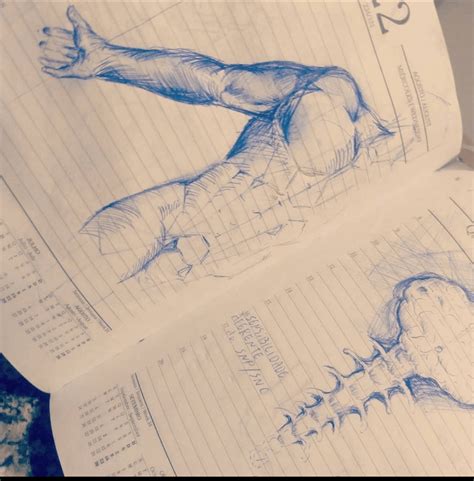 Hello I Recently Completed The Autopsy Course And I Would Like To Share The Drawings I Made In