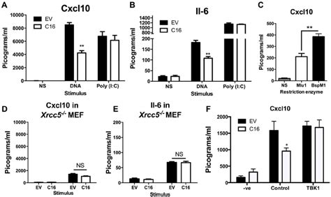 C16 Inhibits Dna Sensing But Not Rna Sensing A B Mefs Were Mock Download Scientific