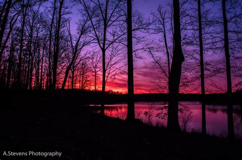 Sunset Through The Woods Beautiful Sunset On Falls Lake In Flickr