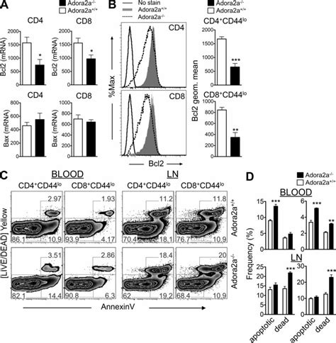 Recovery Of Cd127 Expression In Adora2a T Cells In The Absence Of Download Scientific Diagram