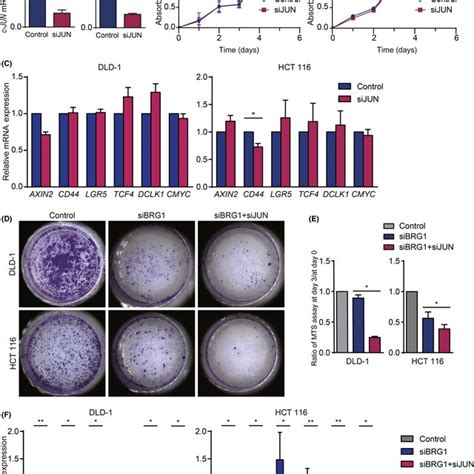 Jnk Pathway Was Crucial For Expansion And Stemness Of Human Colorectal Download Scientific
